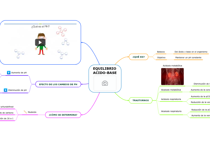 EQUILIBRIO ACIDO-BASE - Mind Map